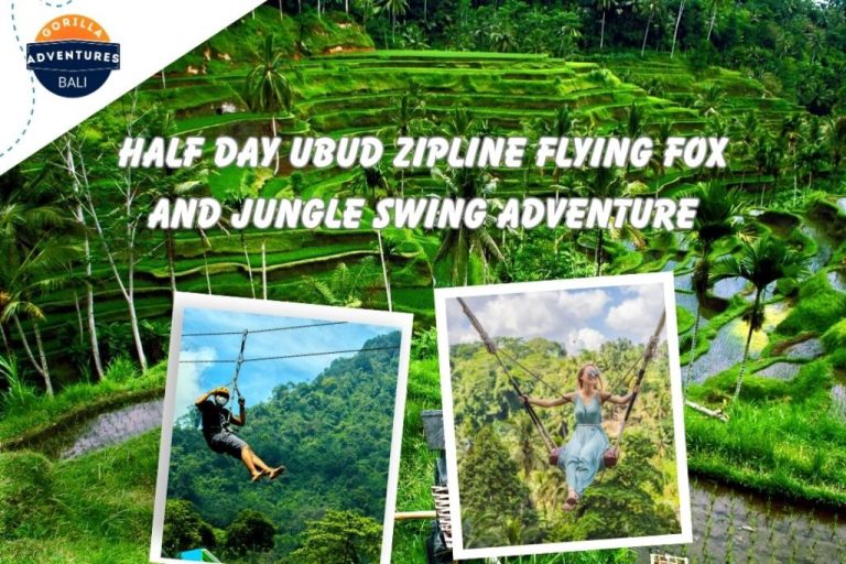 Gorilla Adventure Bali