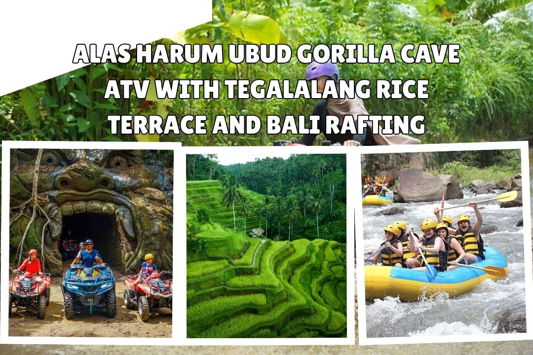 Alas Harum Ubud Gorilla Cave ATV with Tegalalang Rice Terrace and Bali ...
